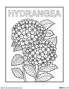 12 Free Realistic Flower Coloring Pages For All Ages