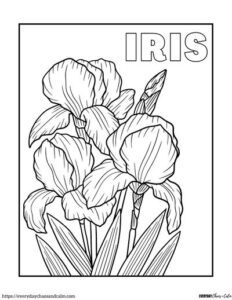 12 Free Realistic Flower Coloring Pages For All Ages