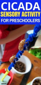 Cicada Shell Sensory Activity For Nature-Loving Kids