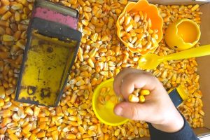 Yellow Sensory Bin For Toddlers To Help Learn The Color Yellow