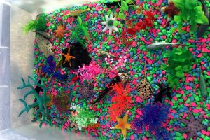 11 Sensory Bins That Are Perfect For Toddlers