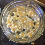 How To Make Dancing Popcorn (a Science Activity)