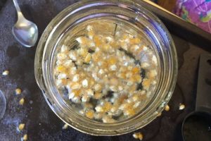 How To Make Dancing Popcorn (a Science Activity)