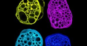 11 Glow In The Dark Activities To Do With Your Kids