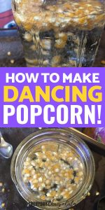 How To Make Dancing Popcorn (a Science Activity)