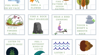 How to Do a Nature Scavenger Hunt for Kids (of All Ages!)