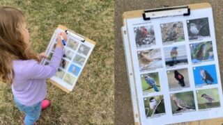How to Do a Nature Scavenger Hunt for Kids (of All Ages!)