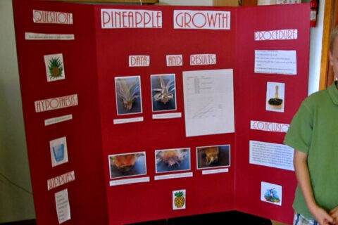 How To Create Your Own Homeschool Science Unit Studies