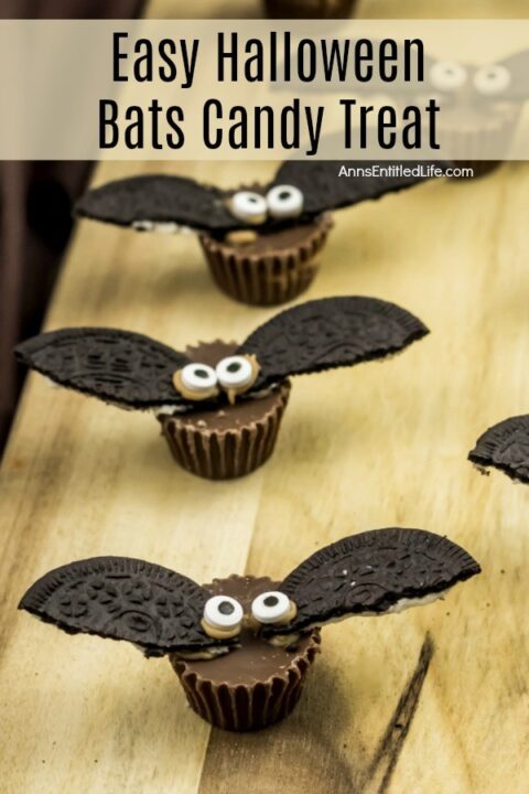 27 Fun Bat Crafts For Kids To Enjoy