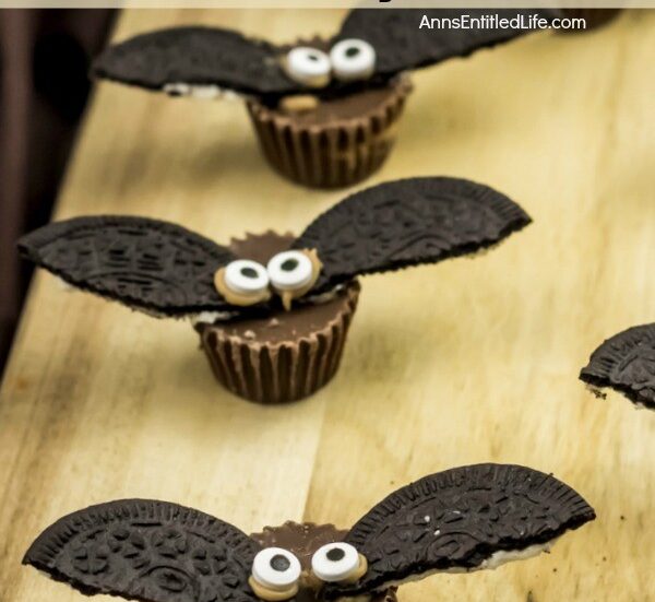 27 Fun Bat Crafts For Kids To Enjoy