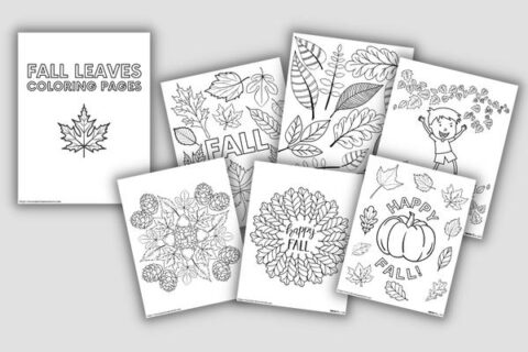 Free Fall Leaf Coloring Pages (PDF Download)