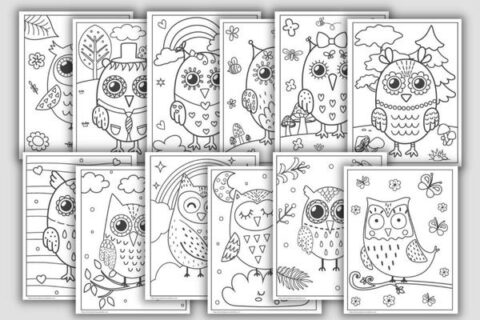 17 Cute Owl Coloring Pages For Kids