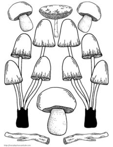 14 Fun Mushroom Coloring Pages For Kids & Adults