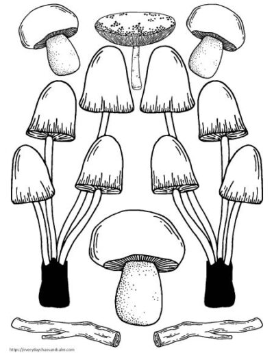 14 Fun Mushroom Coloring Pages For Kids & Adults