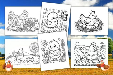 Free Chicken Coloring Pages For Kids