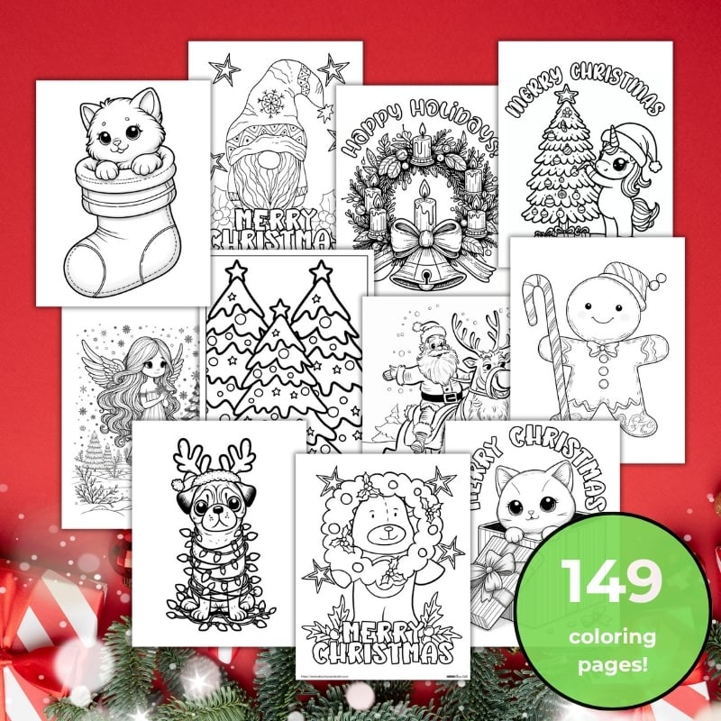 Digital Shop - Everyday Chaos And Calm