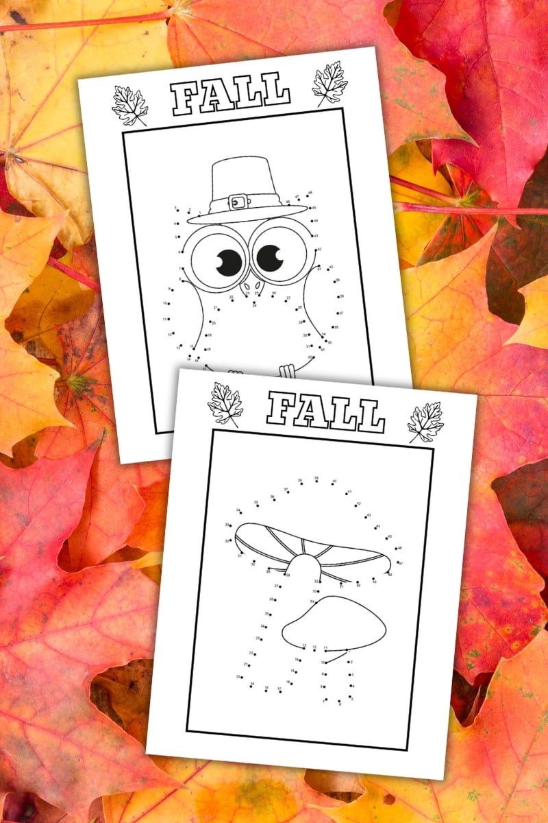 Free Fall Dot To Dot Puzzles