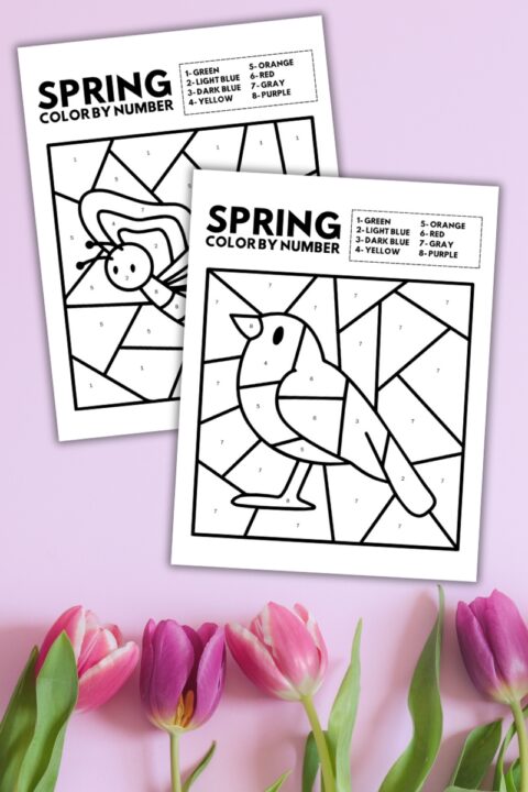 Free Printable Spring Color By Number Pages
