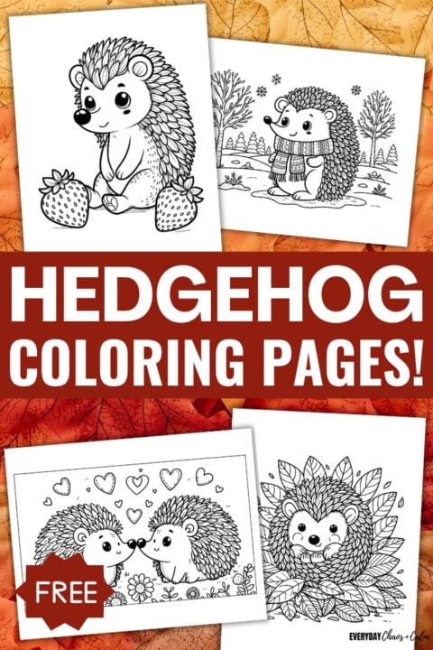 Free Printable Hedgehog Coloring Pages
