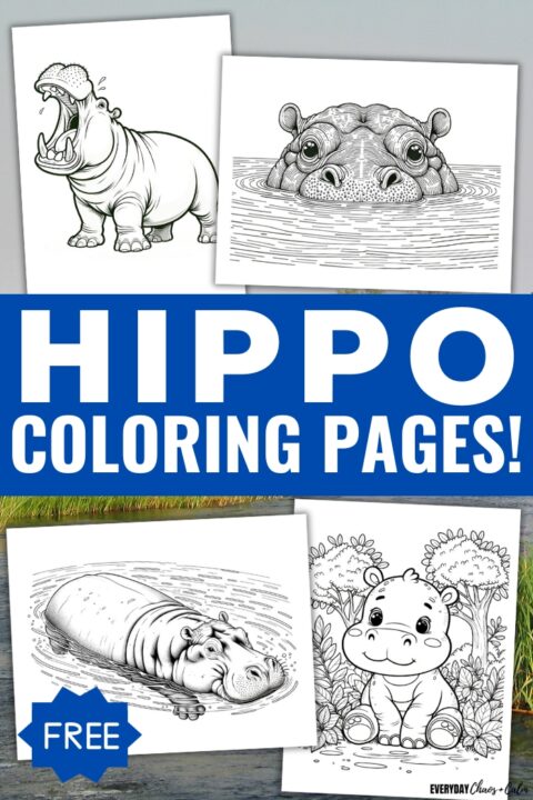 Free Printable Hippo Coloring Pages For Kids