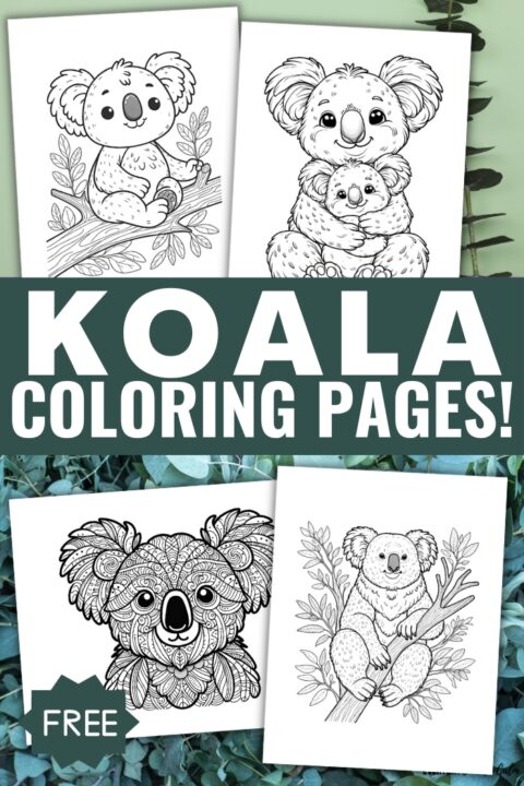 Free Koala Coloring Pages For Kids