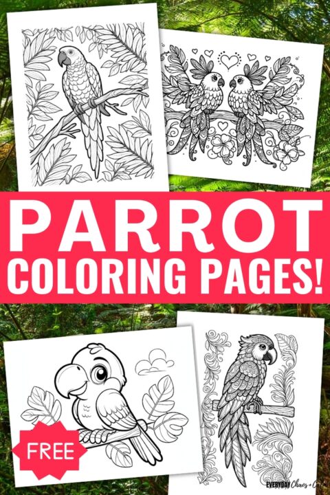 Free Parrot Coloring Pages For Kids