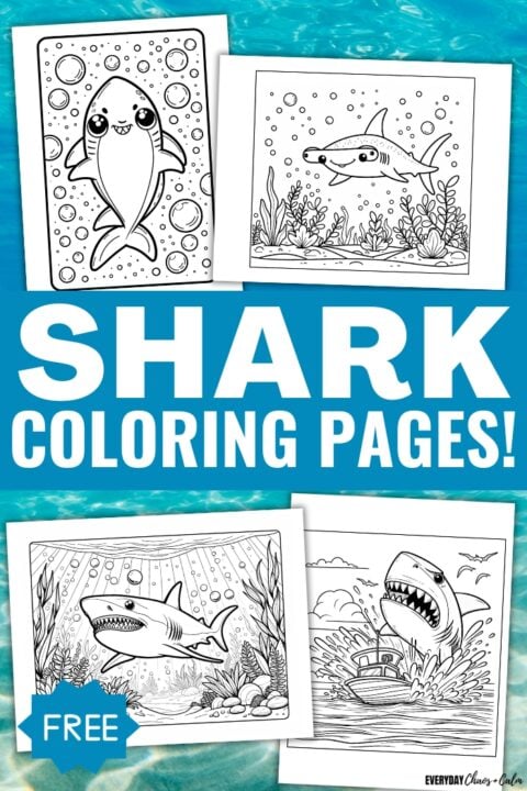 Free Shark Coloring Pages For Kids