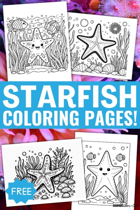 Free Starfish Coloring Pages For Kids