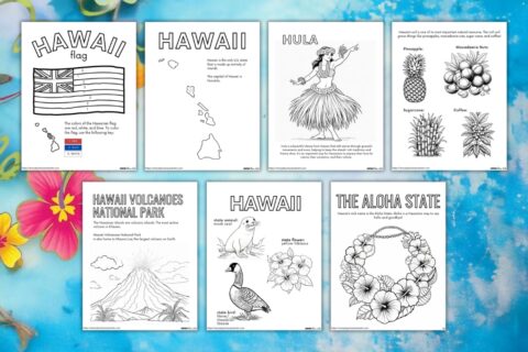 Free Educational Hawaii Coloring Pages For Kids