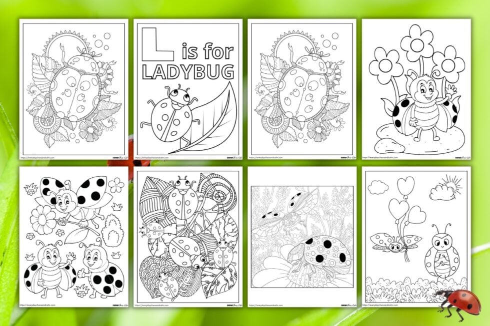 Free Ladybug Coloring Pages For Kids