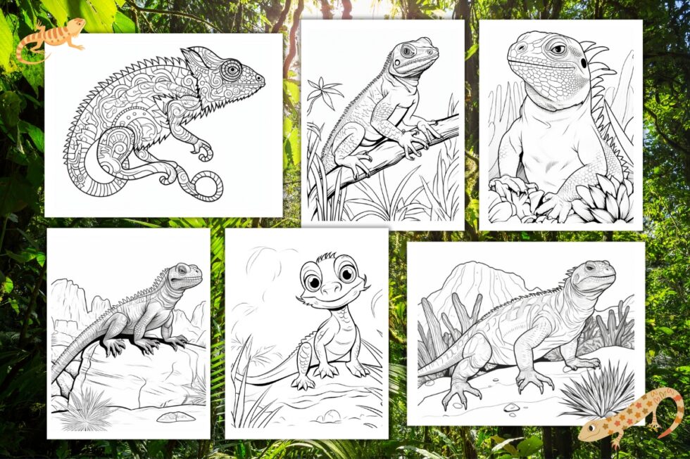 Free Printable Lizard Coloring Pages For Kids