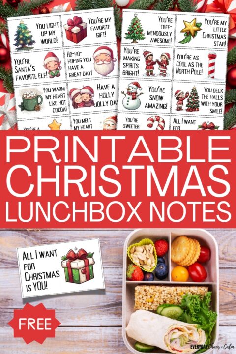 Free Printable Christmas Lunchbox Notes {Free Printable}