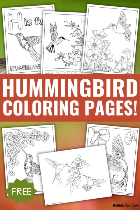 Free Hummingbird Coloring Pages For Kids