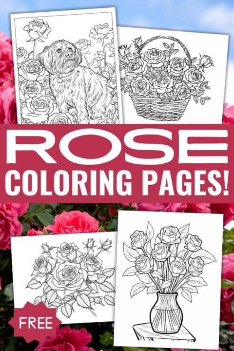 Free Printable Rose Coloring Pages