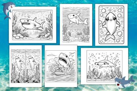 Free Shark Coloring Pages For Kids