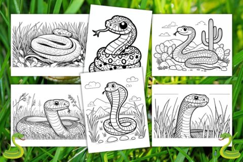 Free Printable Snake Coloring Pages