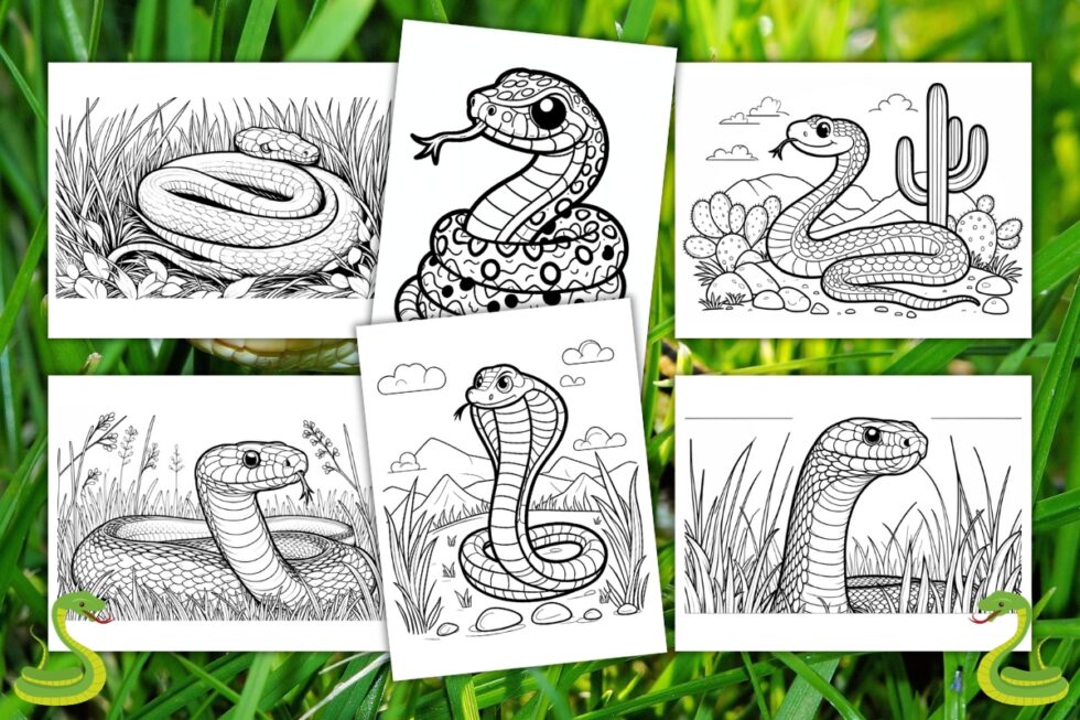 Free Printable Snake Coloring Pages