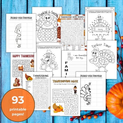 Digital Shop - Everyday Chaos And Calm