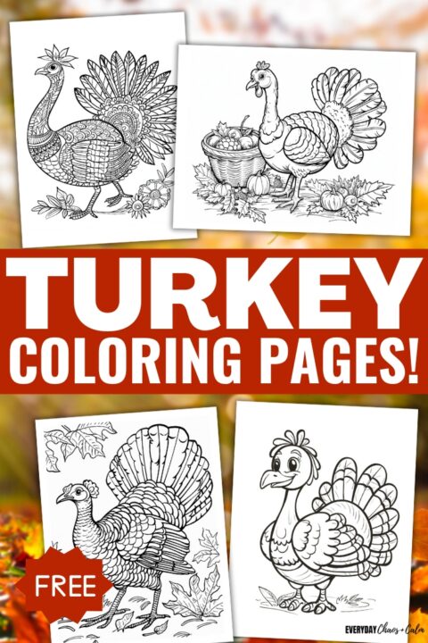 Free Turkey Coloring Pages For Kids